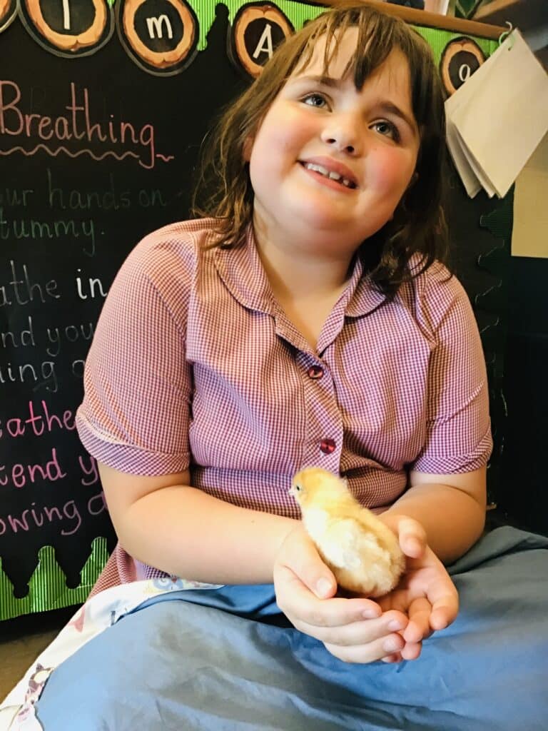 Owls' Chick Project | Wellingborough School